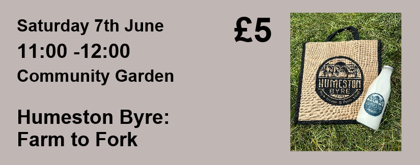 GAF 2025 HB | Girvan Arts Festival